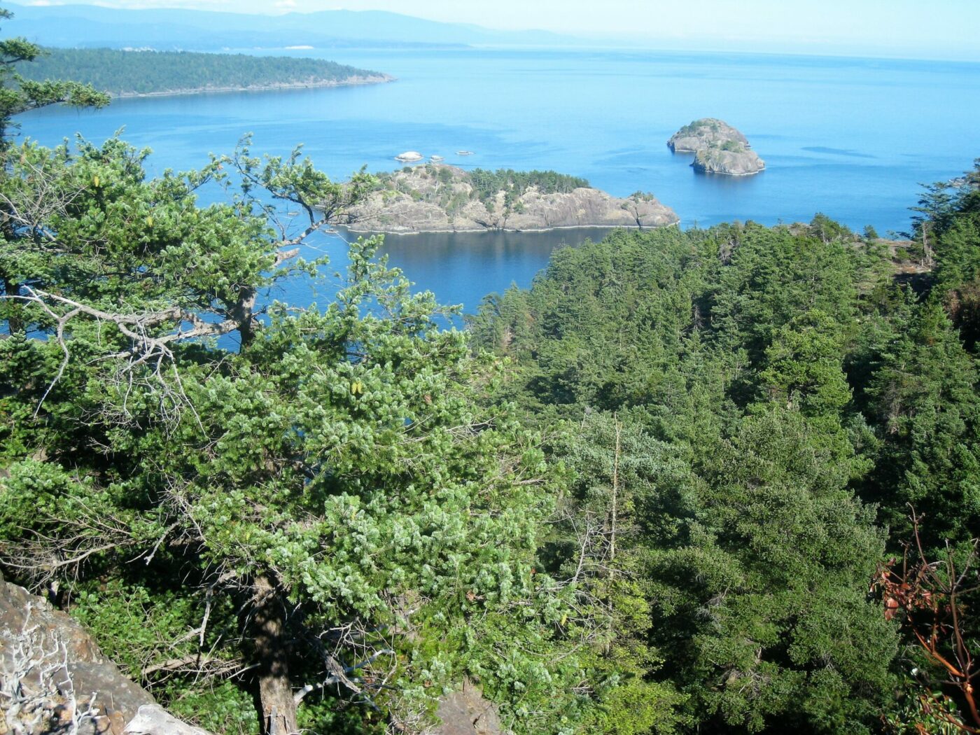 Tales from Jedediah Island - Pacific Yachting