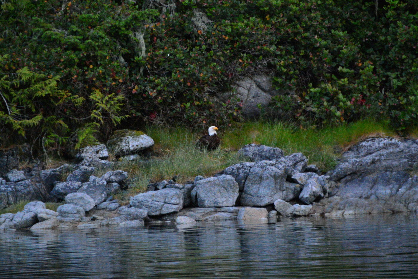 Beware Cove, Turnour Island - Pacific Yachting