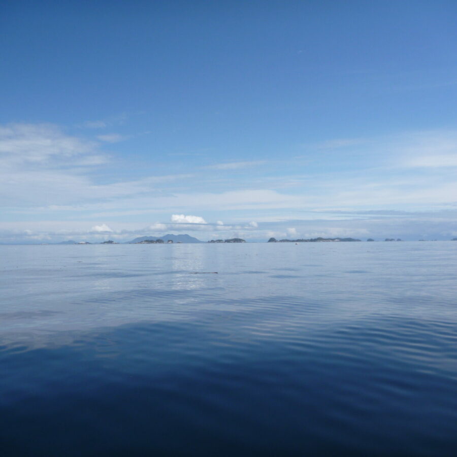 Taiwan Trawlers - Pacific Yachting